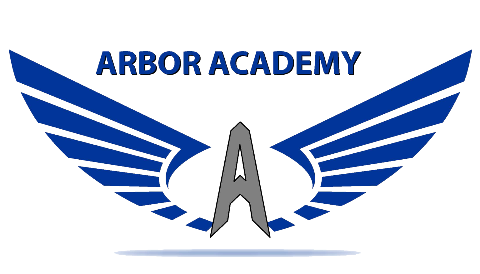 Home page - Arbor Academy